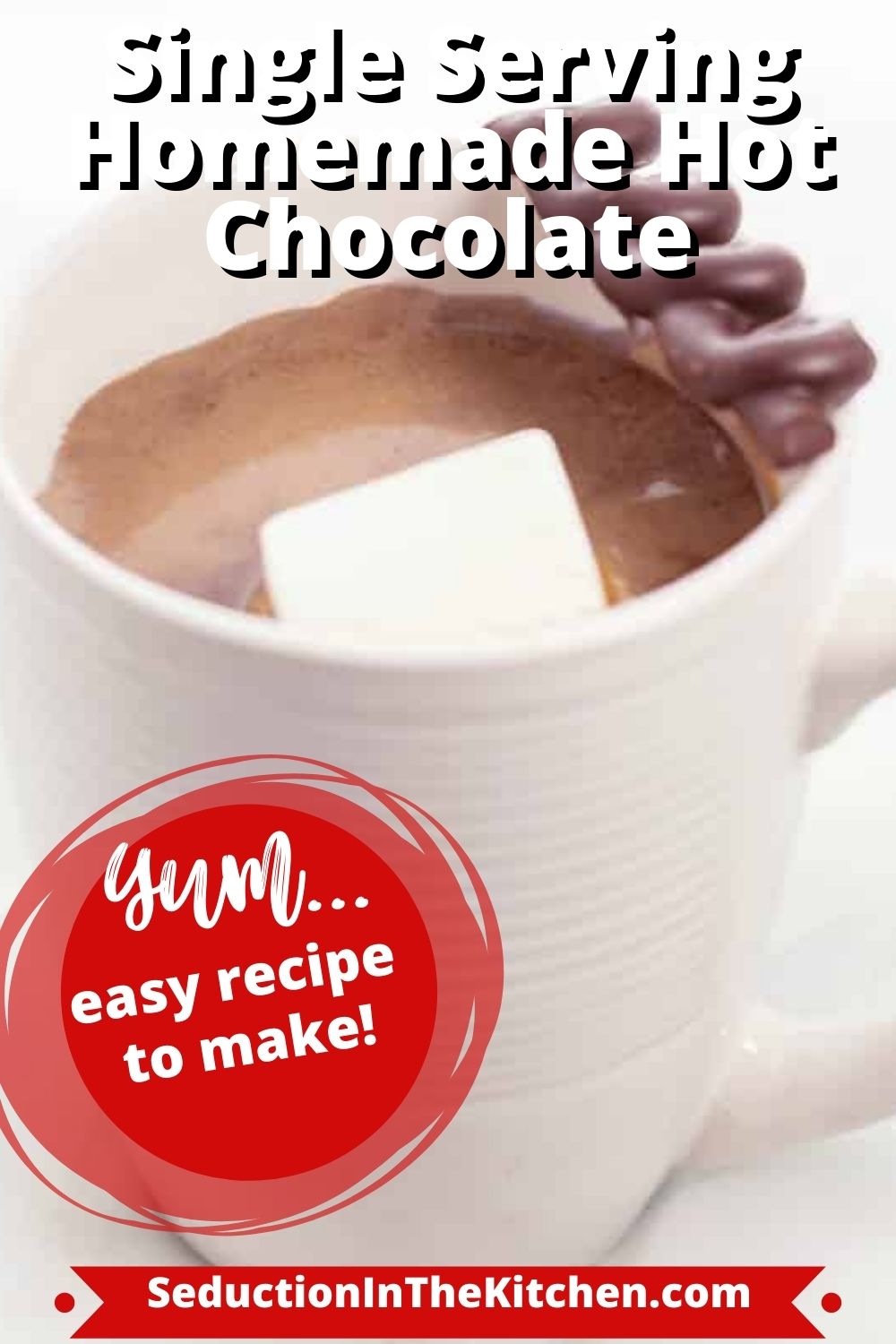 Single Serving Homemade Hot Chocolate Recipe
